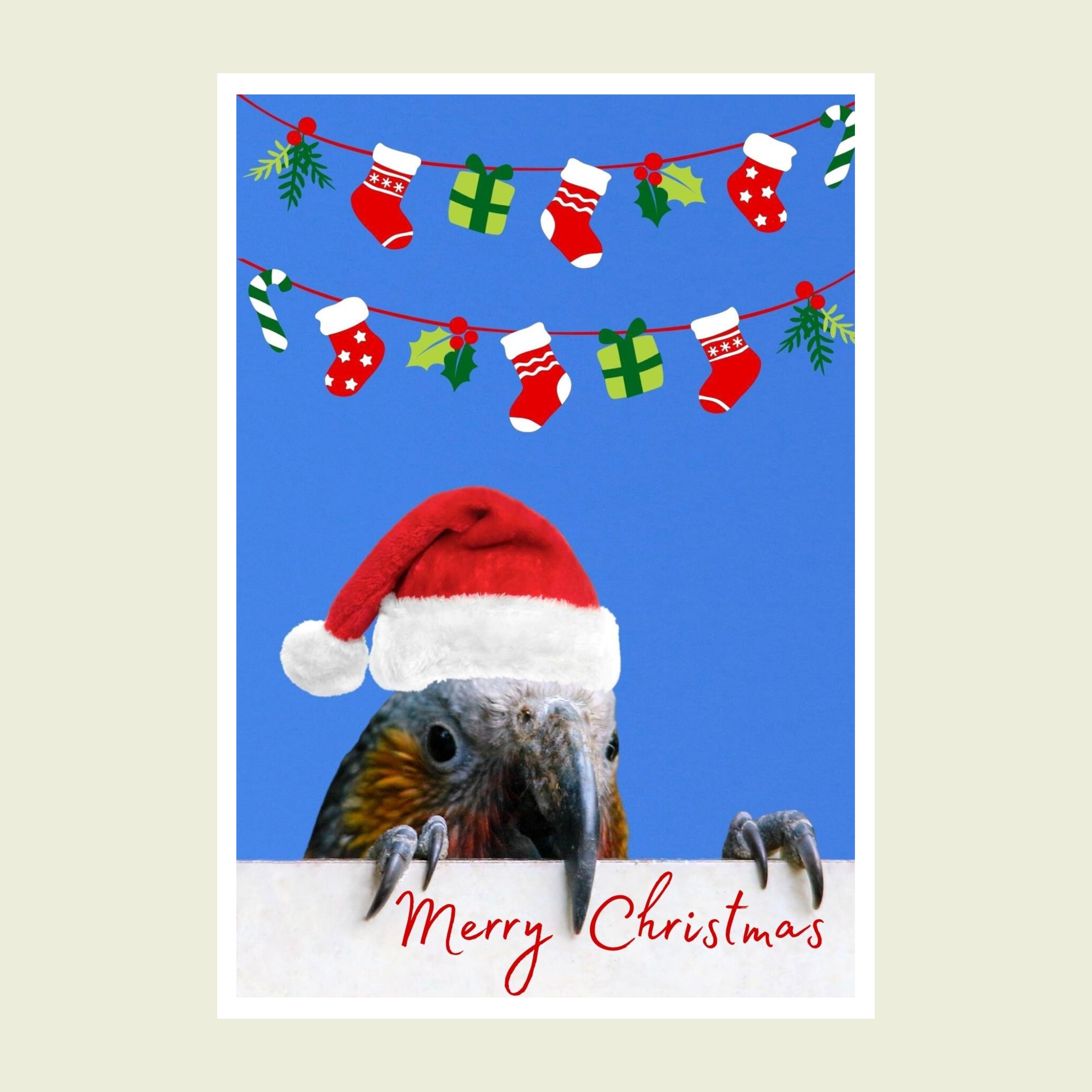 Folded Christmas card - Kaka peeking with Santa Hat – Feather and Fern